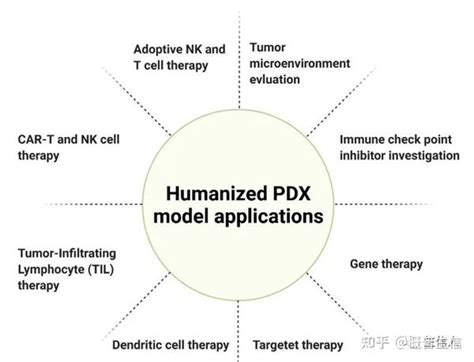 如何用人源性组织异种移植（pdx）助力临床科研 知乎