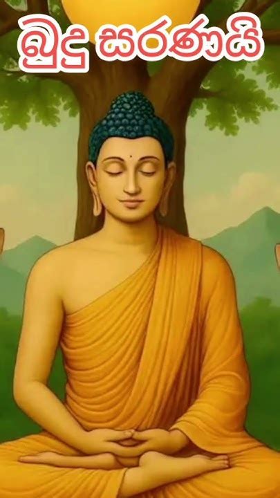 සංකා සෝක තැවෙනා සිත දරාගෙන බුදු ජය මළුව ආරාම දේවි සෙත් බෝධිය විහාර චෛත්‍ය පිළිම රුවන්