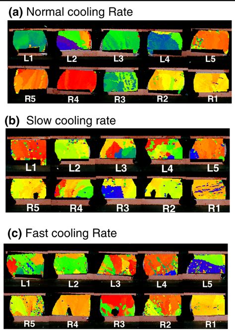 Cross Section Polarized Light Images And Corresponding C Axis Maps