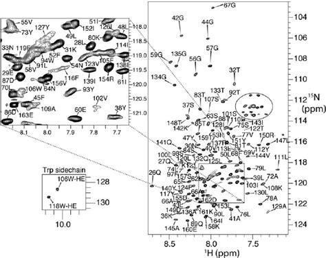 Backbone Amide Resonance Assignments Of Yop1p In Lmpg Dppc Mixed