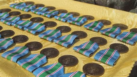 中国赴黎维和部队410名官兵荣获联合国“和平勋章”手机新浪网