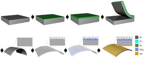 独立式可弯曲多孔 Sio2 Si 薄膜的电容式湿度传感特性 Scientific Reports X Mol