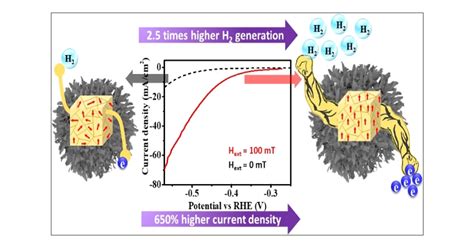 Premagnetized Carbon Catalyst Interface Delivering 650 Enhancement In