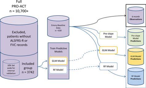 Model Development Schematic Schematic Showing The Relationship Between