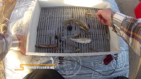 De Kleine Pieterman Youtube