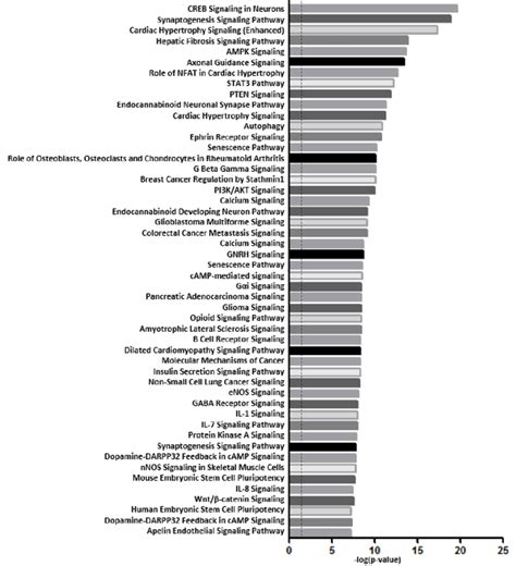Enrichment Analysis Of The Predicted Target Genes Top 50 Canonical