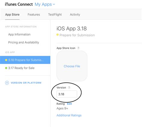 Ios Appstore Where To Select Which Version To Use From Testflight