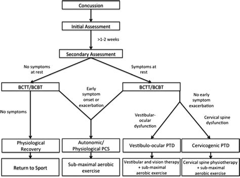 Algorithm For Diagnosis Of Physiological Postconcussion Syndrome Pcs