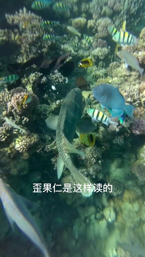 你知道arduino Mega 2560该如何读吗？ 知乎