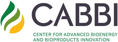 enhancing lipid production in plant cells through automated high