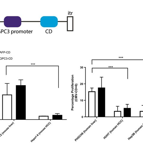 Expression Of Gpc3 In Humans Expression Levels Of Gpc3 In Hcc Patients Download Scientific
