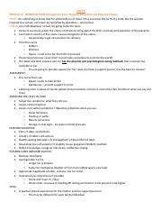 Understanding Labor And Birth A Comprehensive Overview Course Hero
