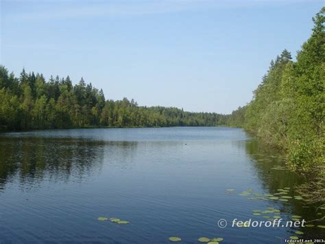 Струги Красные - ГЕОГРАФИЯ - Фотоальбомы - Сайт Федорова Евгения ...