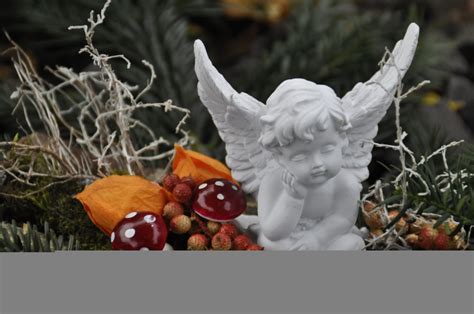 Безплатна снимка растение листо цвете статуя есен Коледа флора сезон ангел 4288x2848