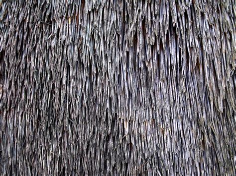 Thatch Texture By Anuden On Deviantart