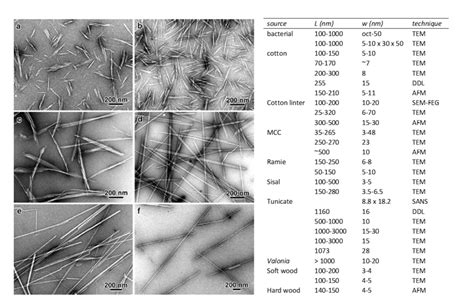 From Cellulose To Nano Crystals And Nano Fibrils Glycopedia