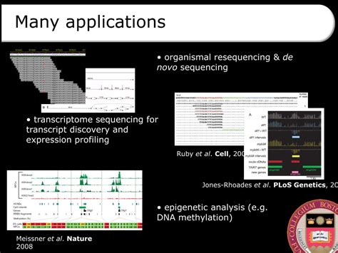 Ppt Informatics Tools For Next Generation Sequence Analysis
