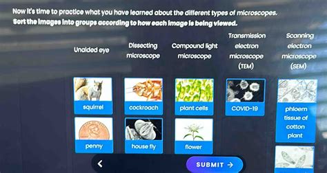 Solved Now Its Time To Practice What You Have Learned About The