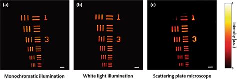 Scatter Plate Microscope For Lensless Microscopy With Diffraction