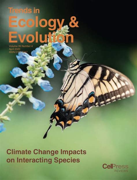 Bds Analytics Stock Symbol