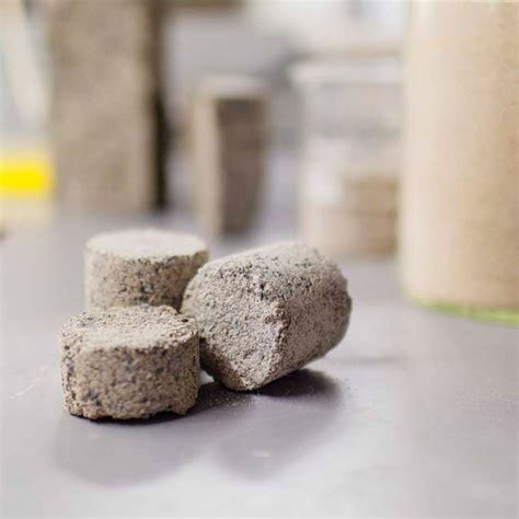 Bricks Made From Loofah And Charcoal Could Promote Biodiversity In Cities