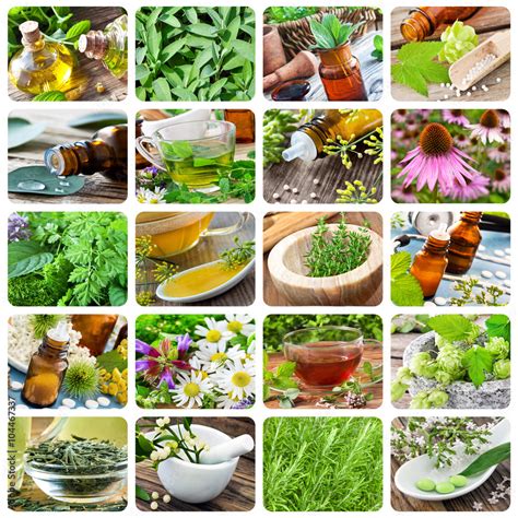 Healing herbs - medicine Stock-Foto | Adobe Stock