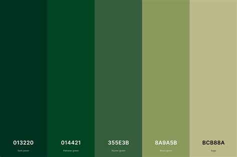 35 Best Green Color Palettes With Names And Hex Codes Artofit