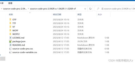 Vscode 设置source Code Pro字体 Csdn博客