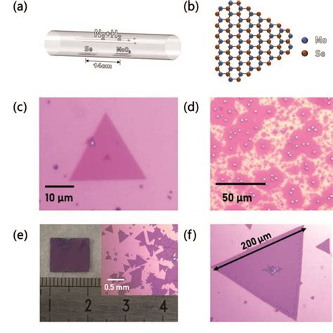 A Schematic Of Cvd Growth System B Atomistic Model Of Monolayer