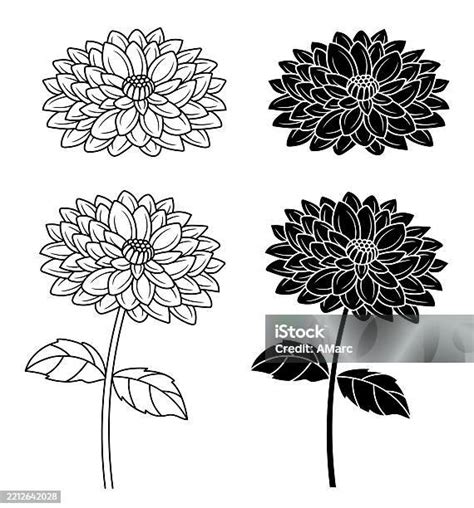 Dahlia Flower With Leaves 클립 아트 일러스트 윤곽선과 실루엣 스탬프 투명 배경에 꽃 식물에 대한 스톡 벡터 아트 및 기타 이미지 Istock