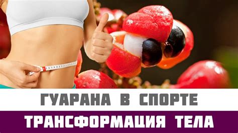 Гуарана в спортивном питании: что это и как принимать? - YouTube