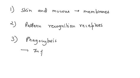 Solved Please Label The Figure To Show Your Understanding Of The