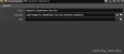 Houdini Solaris中创建一个自定义usd Assest Importerhoudini导入usd Csdn博客