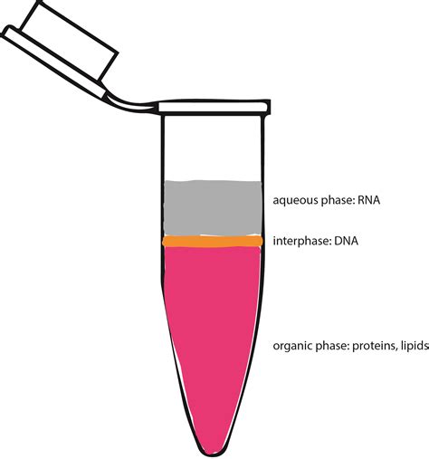 Aqueousphase 千图网