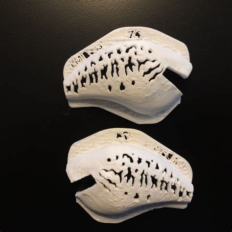 S Type Largemouth Bass Stencil Backwateroutfitting