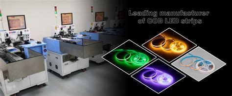 China Led Module Manufacturer Led Strip Supplier Neon Flex Led Strips Factory Led Pixel Light