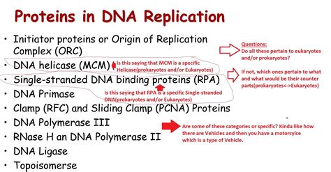 Solved I Have Some Questions About A Power Point Slide Below