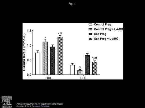 L Arginine Supplementation Lowers Blood Pressure Protein Excretion And L Arginine Supplementation Lowers Blood Pressure Protein Excretion And