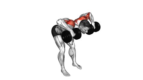 Dumbbell Bent Over Face Pull Ultimate Exercise Guide And Tips