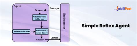 5 Types Of Agents In Artificial Intelligence Ai