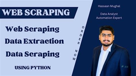 Do Web Scraping Task Automation Data Entry Imacros Excel Python
