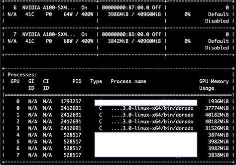 Core Dumped Using Dorado Duplex For Version 0 3 0 Issue 212