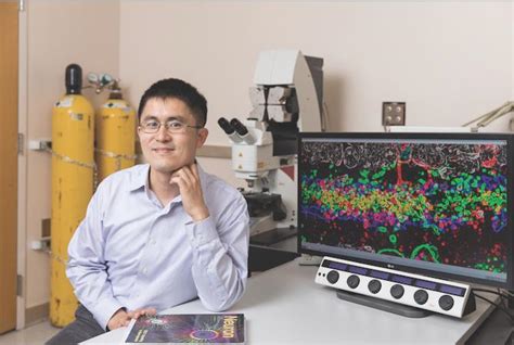 Ahmet YalÇin On Linkedin Xin Duan Trans Seq Translating Transcriptomics To Connectomics At…