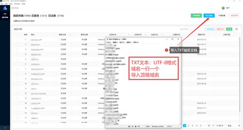 批量域名注册信息实时查询教程