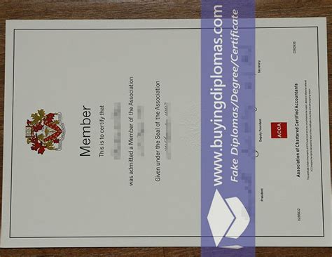 Most Realistic Fake Acca Certificate In Uk
