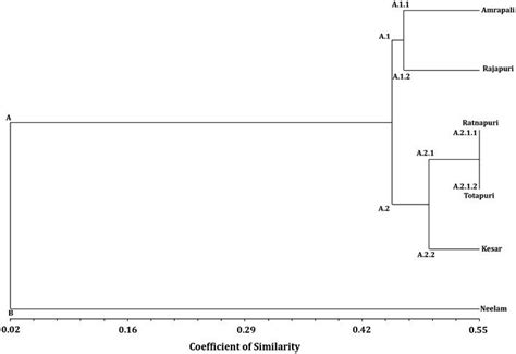 Dendogram Depicting Clustering Of Six Mango Cultivars Based On Ssr