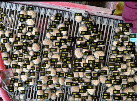 Neatly Drawn 2d And 3d Bounding Boxes And Polygon Tags For Your Project Upwork