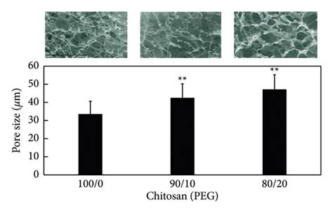 Sem Micrographs And The Corresponding Pore Size Of Chi 100 100 0