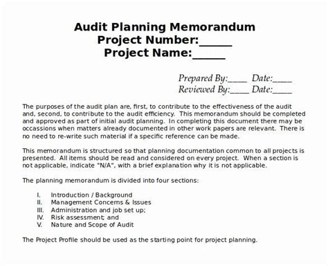 Audit Planning Memorandum Lewis Has Ritter