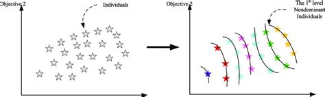 Non Dominant Sorting Process Of Individuals Download Scientific Diagram